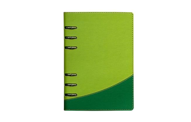 LINE Agenda sa mehanizmom B6 – Apple green