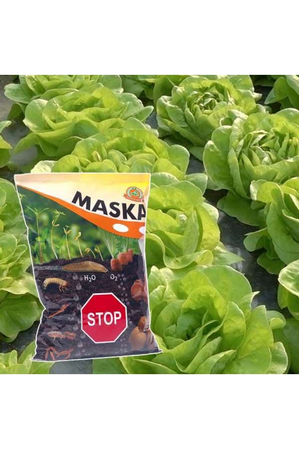 MASKA 1/1
Šifra: 1285 JM: KG