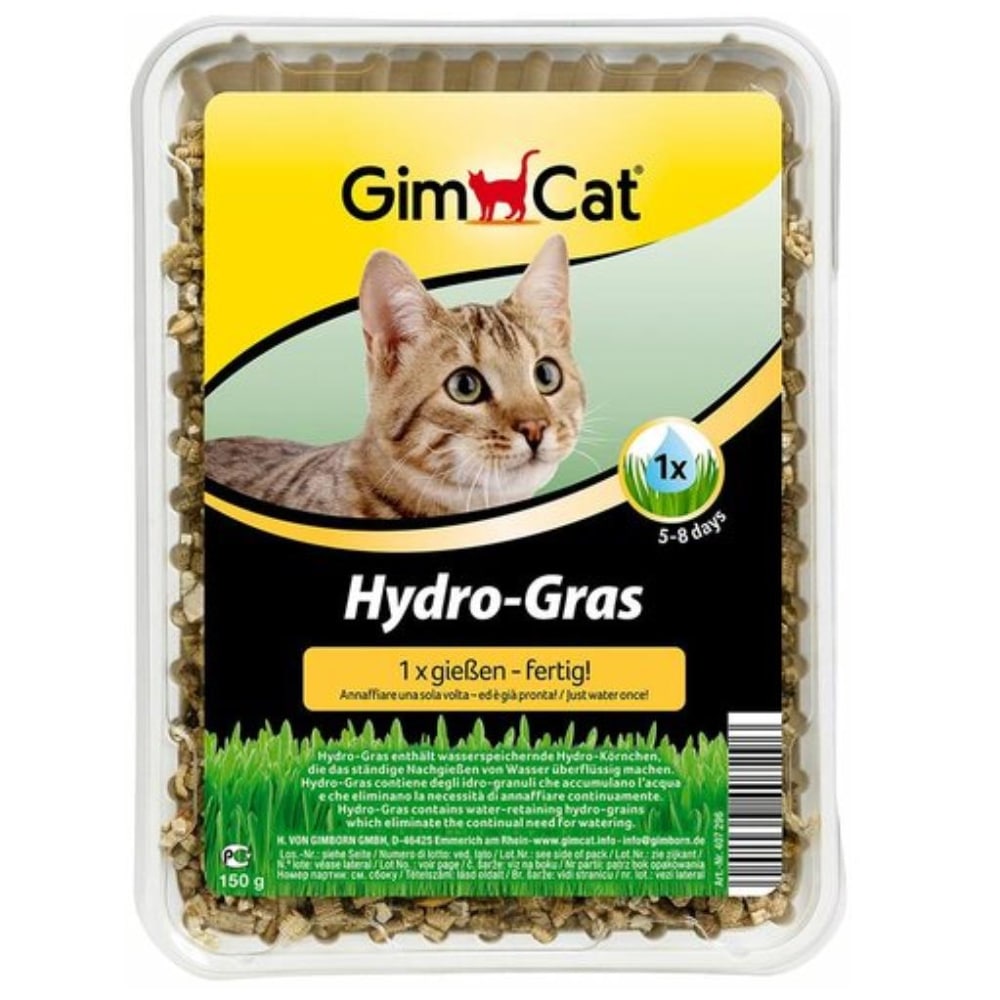 GIMCAT GMB02407296 Hydro-gras 150 g Trava za mačke