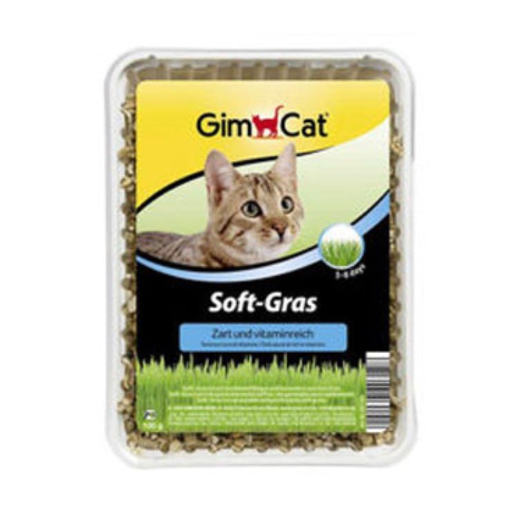 GIMCAT GMB02407128 Soft-Gras Trava za mačke 100 g