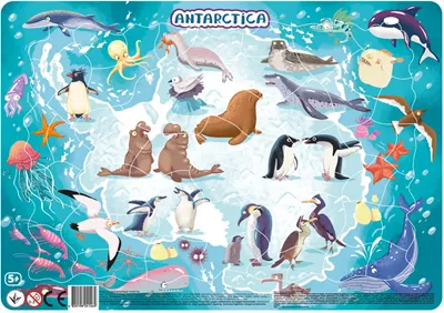 Dodo Dodo slagalica u okviru 53 delova - Antarktik (COR176)