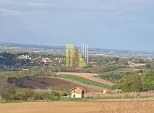 Prodaja Građevinsko zemljište - Petrovaradin, Bukovac