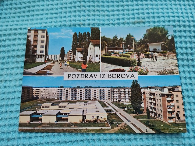 BOROVO