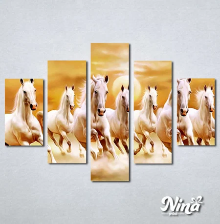 Slike na platnu Beli konji Nina432_5