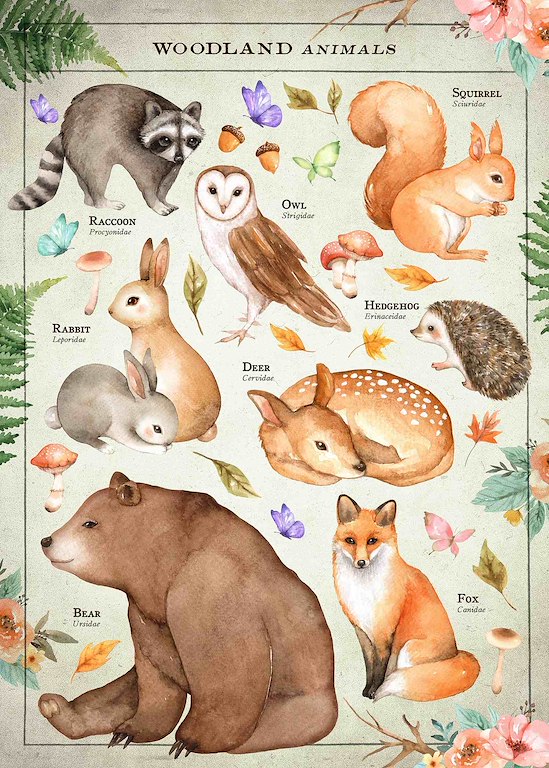 Woodland animals