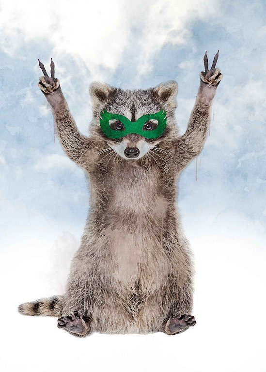 Super Raccoon