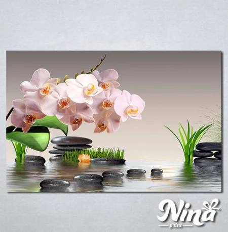 Slike na platnu Roze orhideja Nina304_P