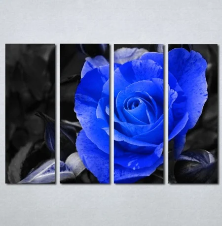 Slike na platnu Plava ruza Nina127_4