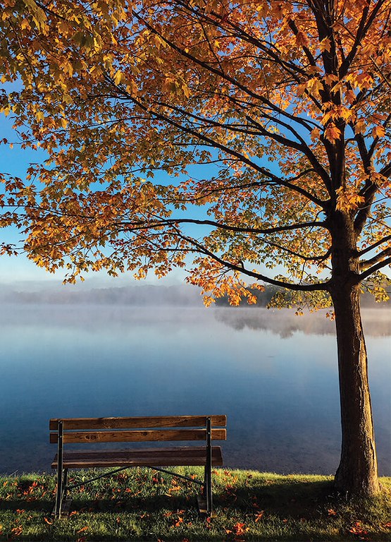 Bench by the lake on an autumn’s day