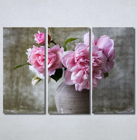 Slike na platnu Roze cvet Nina30333_3