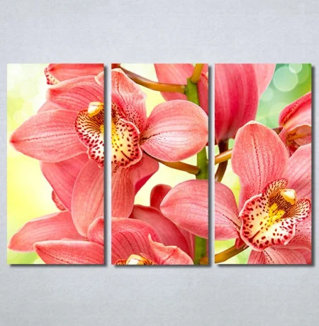 Slike na platnu Orhideje 2 Nina30306_3