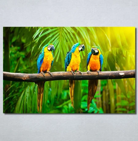 Slike na platnu Papagaji Are Nina30249_P