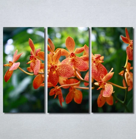 Slike na platnu Narandžasti cvet Nina30233_3