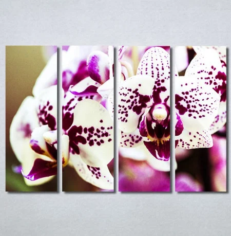 Slike na platnu Šarene orhideje Nina30217_4