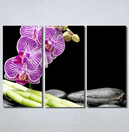 Slike na platnu Ljubicasta orhideja i bambus Nina30213_3
