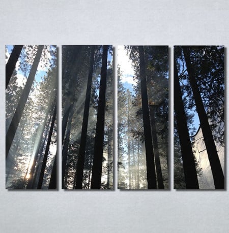 Slike na platnu Mračna šuma Nina30195_4
