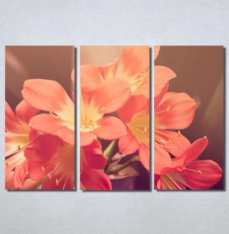 Slike na platnu Cvet u proleće Nina30193_3