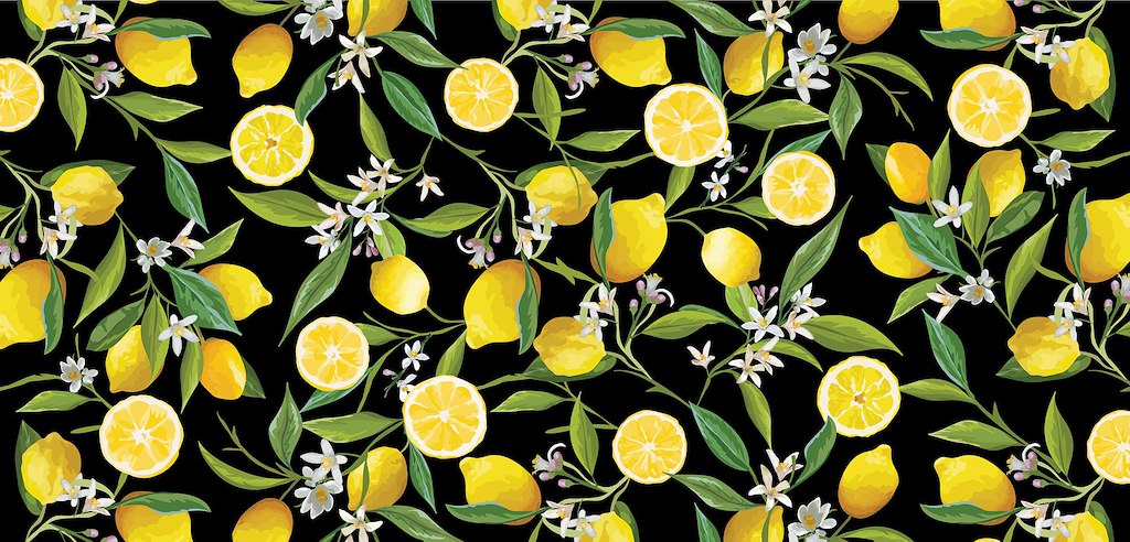 OUTLET – Limun 500×240