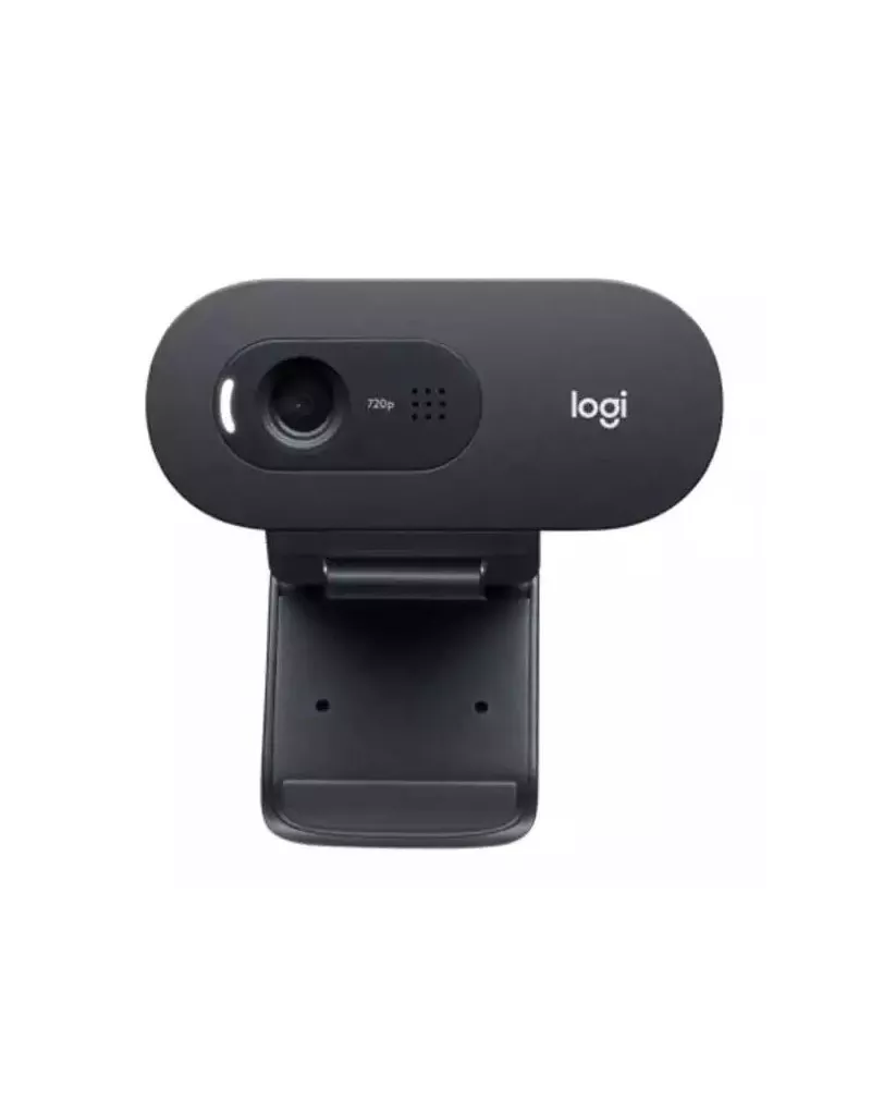 Web kamera Logitech C505e