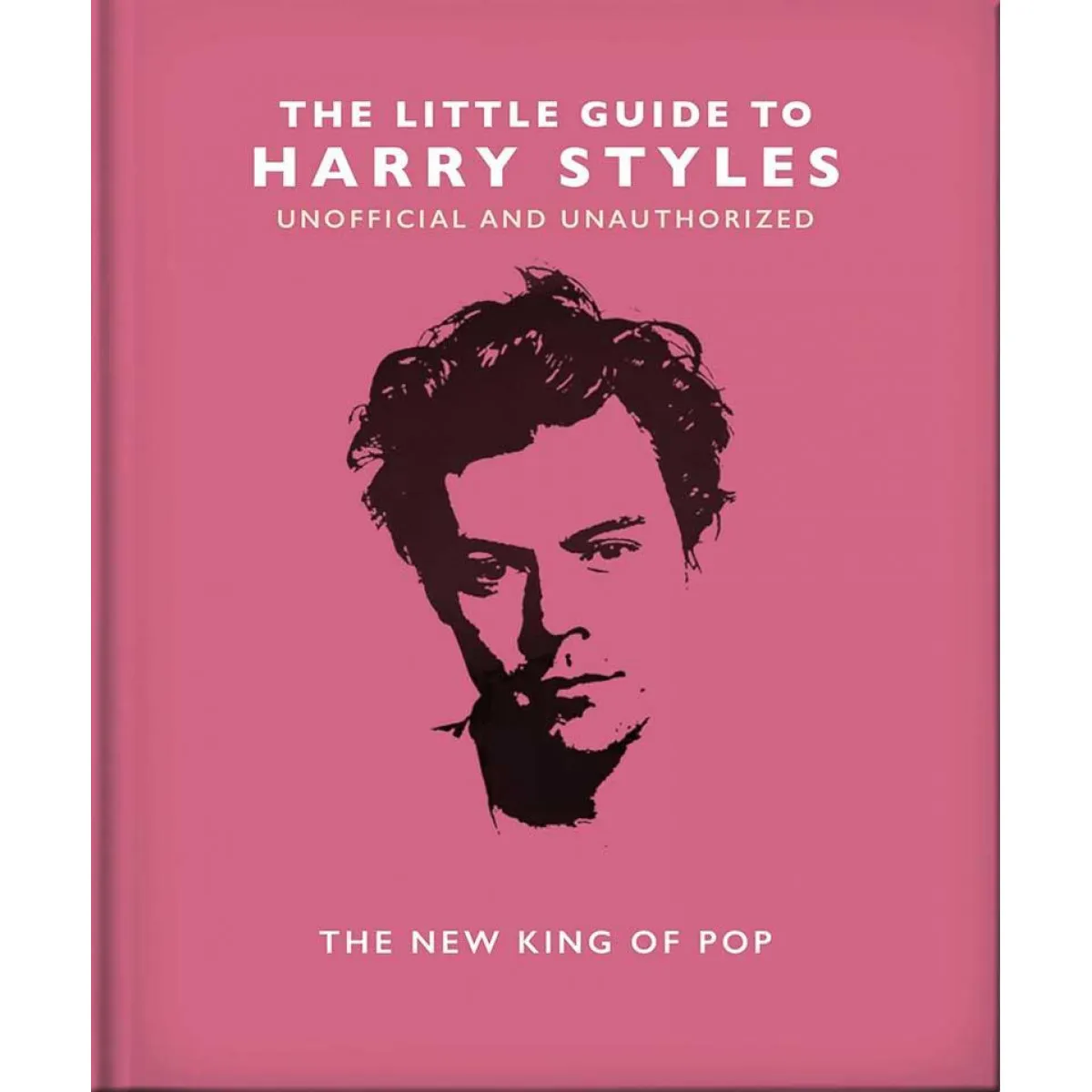 THE LITTLE GUIDE TO HARRY STYLES