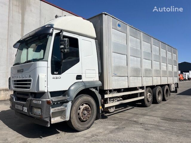 IVECO STRALIS AT260S43Y-PT kamion za prevoz stoke