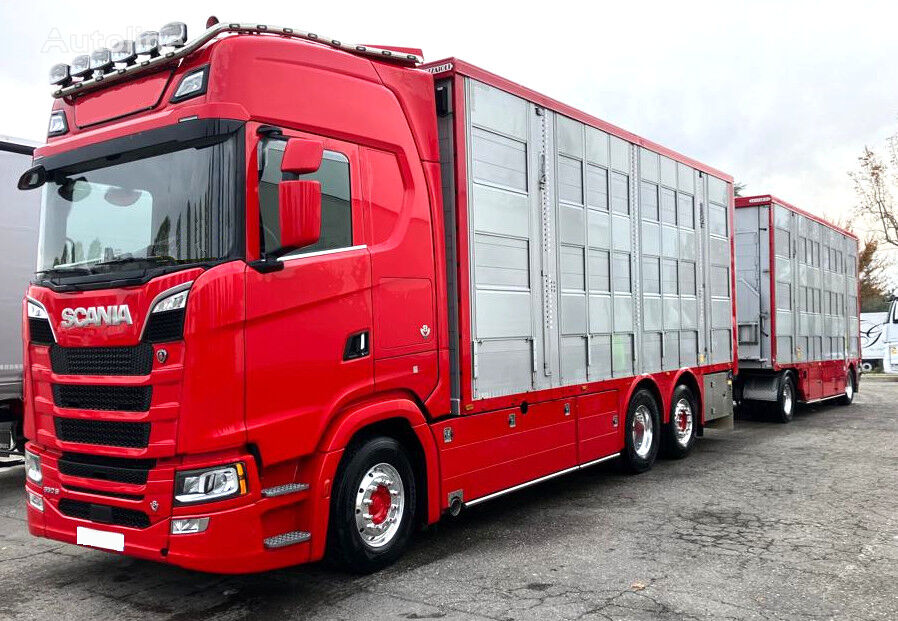 Scania S650 kamion za prevoz stoke + prikolica za prevoz stoke