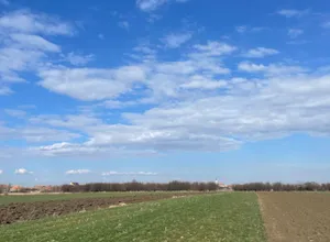 Prodaja Građevinsko zemljište - Stara Pazova, Krnješevci