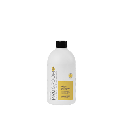 HEINIGER PROGROOM BRIGHT ŠAMPON 500 ML