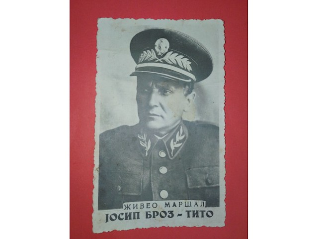 ŽIVEO MARŠAL JOSIP BROZ -TITO-STARA FOTOGRAFIJA