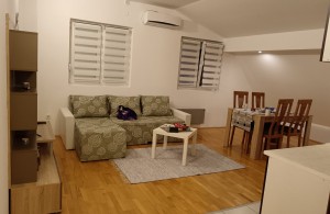 Prodajem Stan-Apartman, Železnik, Beograd Grad