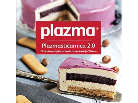Plazma Plazmastičarnica 2.0 - Grupa autora