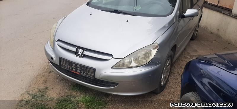 Peugeot 307 1.6 Kompletan Auto U Delovima