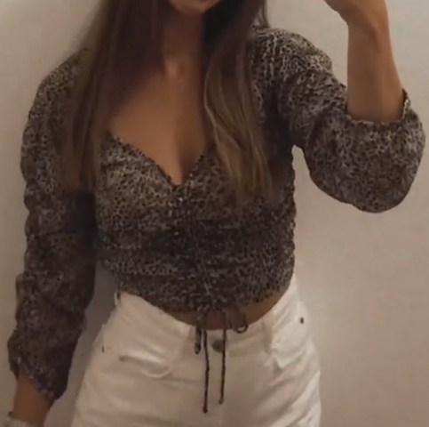 Zara top animal print