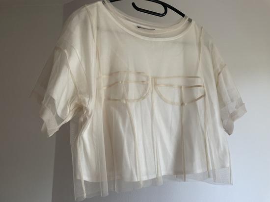 Zara crop top