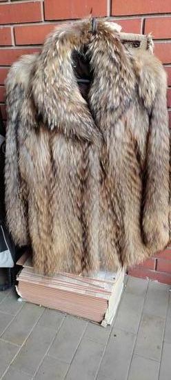 Fantastična bunda od rakuna ili srebrne lisice,38