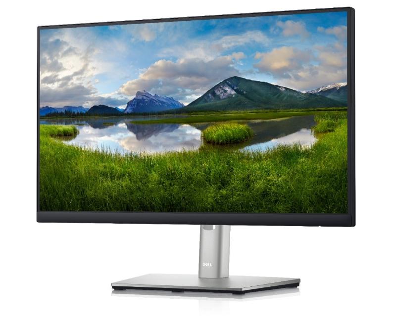 DELL 21.5" P2222H Professional IPS monitor