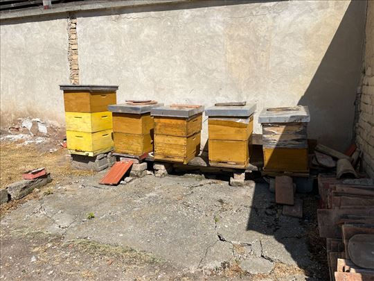 LR Košnice sa pčelama