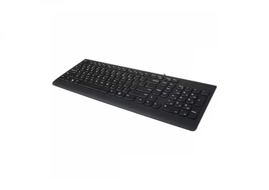 Tastatura Lenovo 300 US GX30M39655