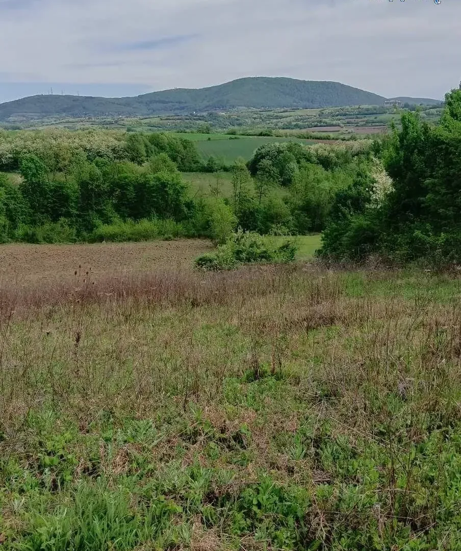 Prodaja, zemljište, 16000m2, Dučina, Sopot, Beograd