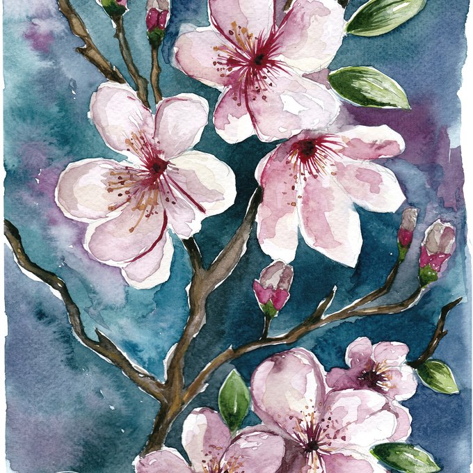 Bademov cvet art print 21x30 cm