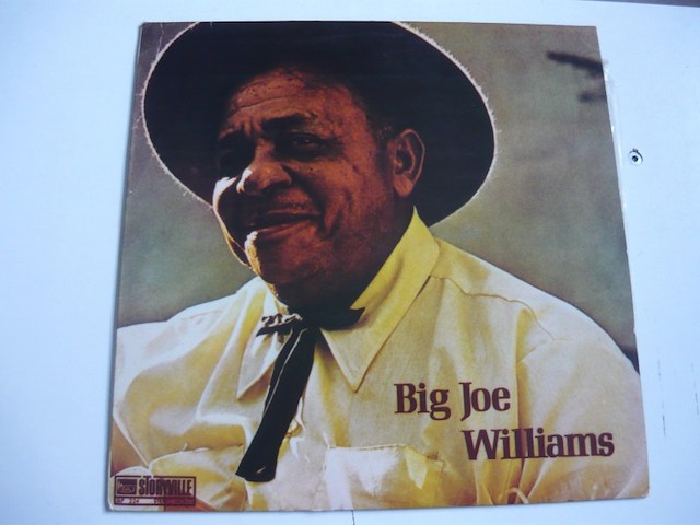 Big Joe Williams - Big Joe Williams