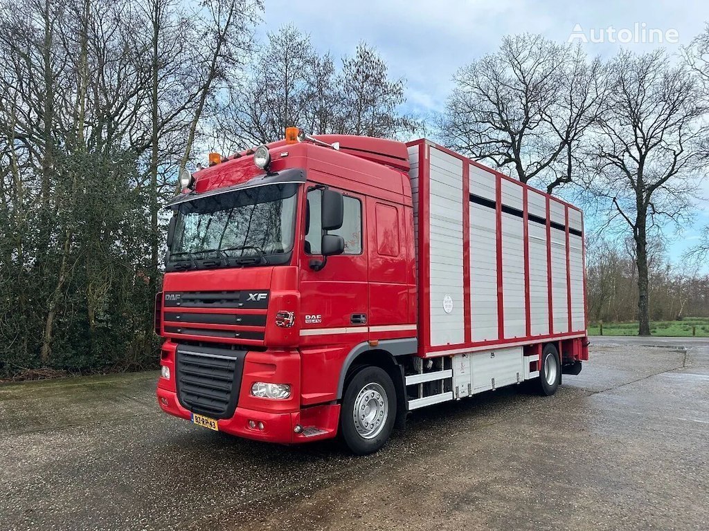 DAF XF 105.410 Veewagen kamion za prevoz stoke