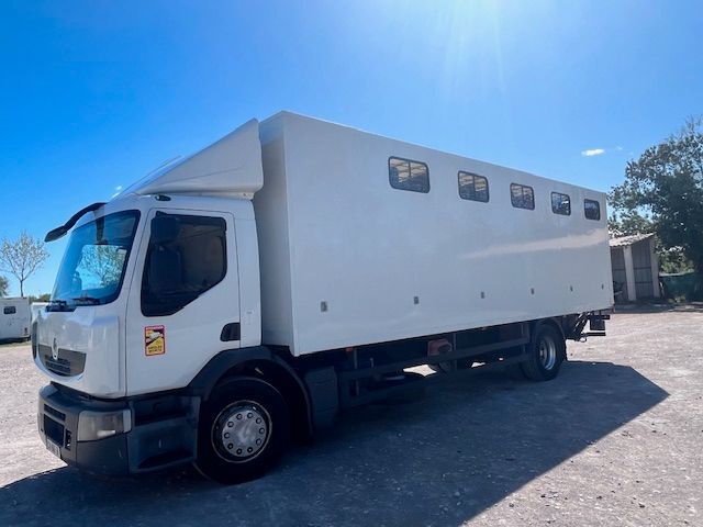 Renault Premium 280 Horse transporter kamion za prevoz konja