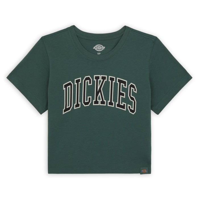 Dickies Aitkin majica