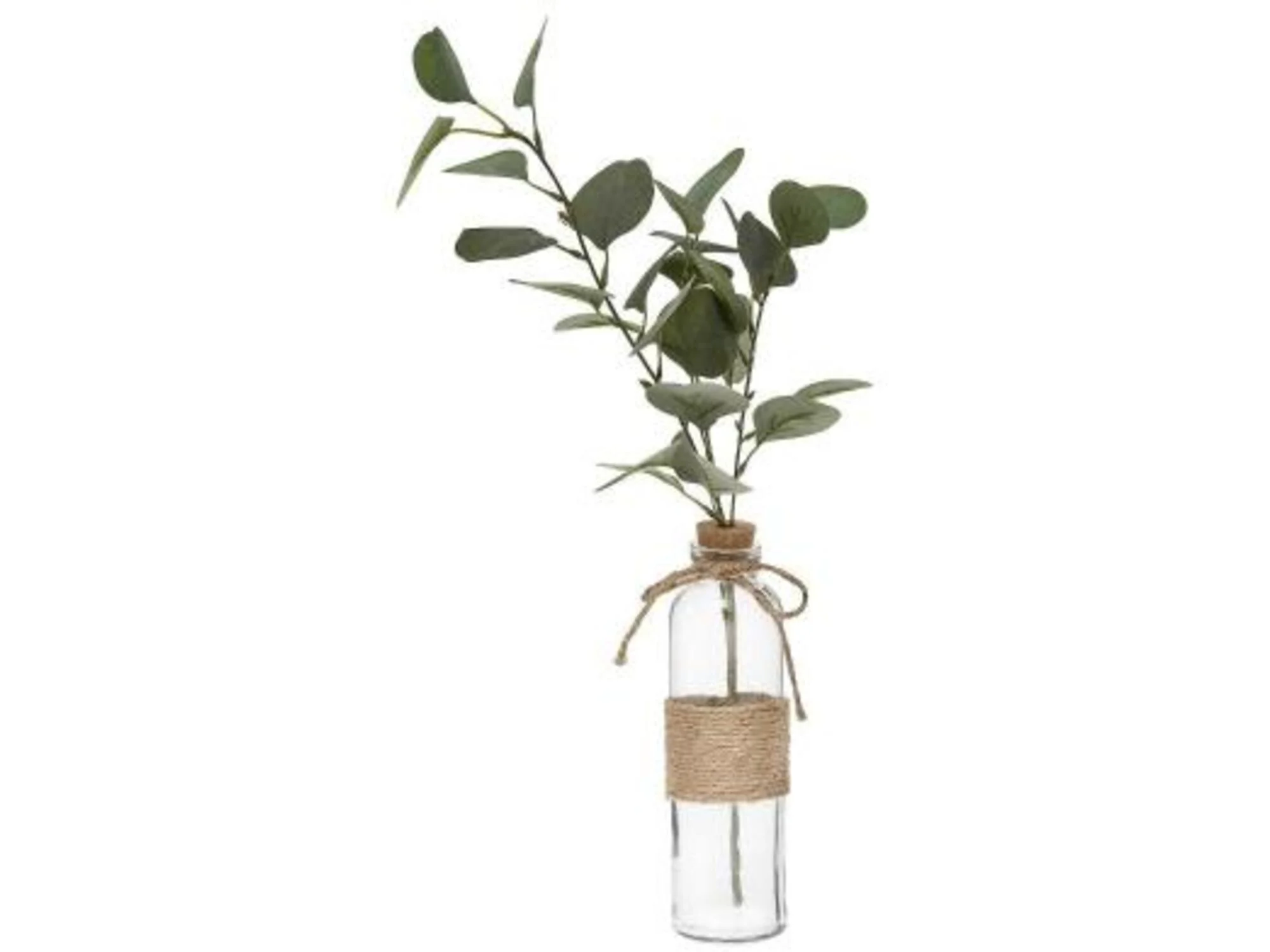Atmosphera Dekorativna biljka Eucalyptus sa vazom