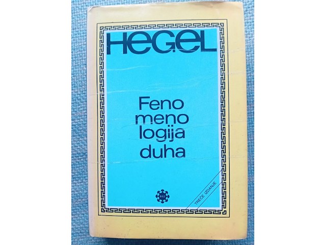 Hegel Fenomenologija duha
