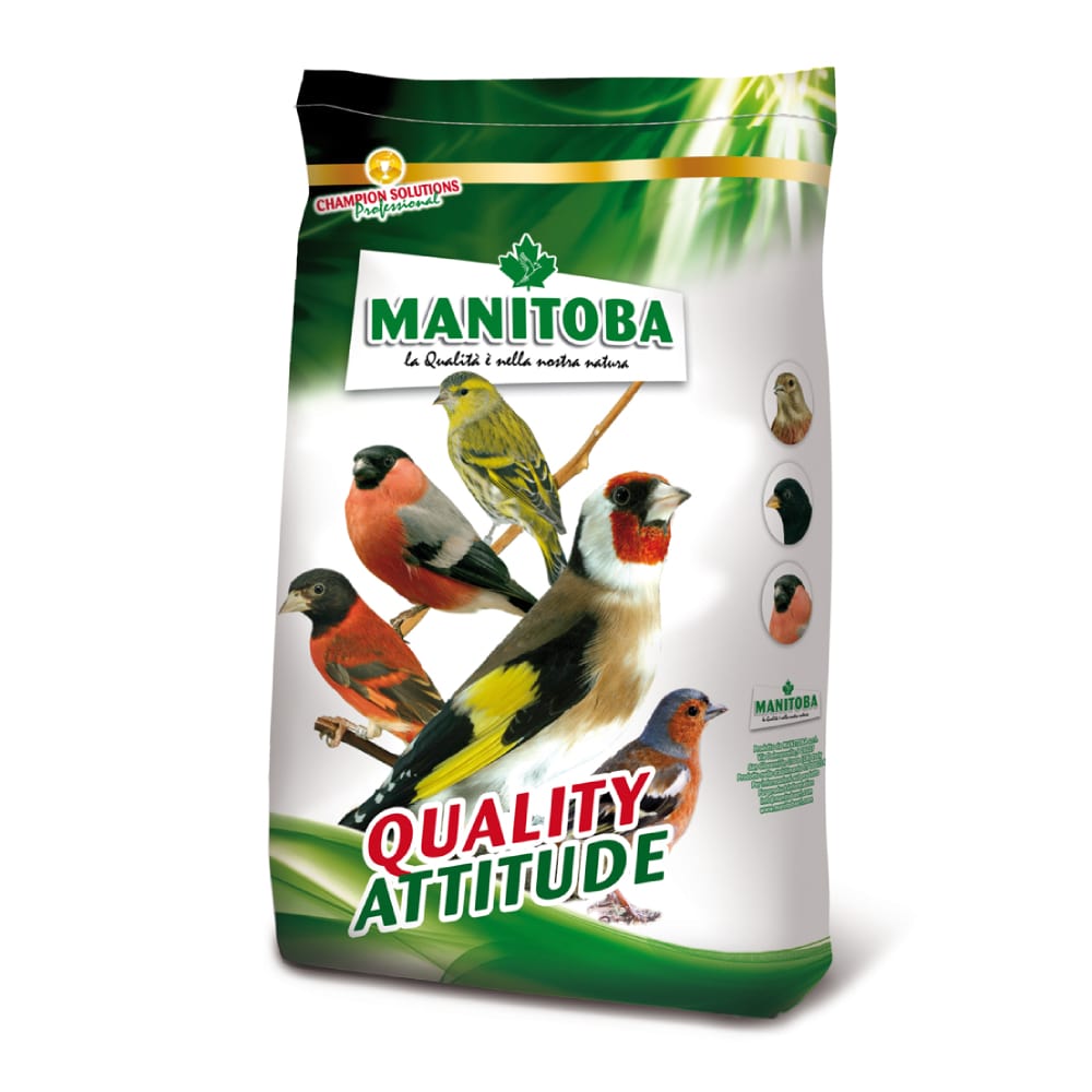 MANITOBA Spinus Extra Fancy 15 kg Hrana za ptice Spinus
