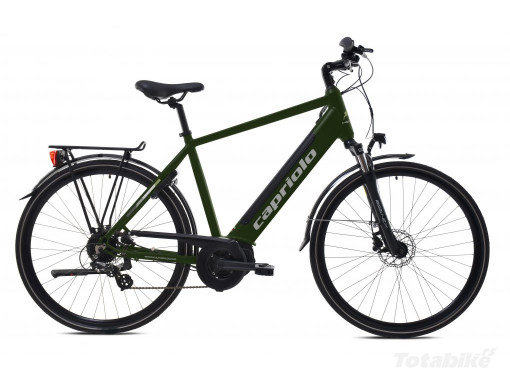 E-BIKE ECO 700.3.1 MAN maslina