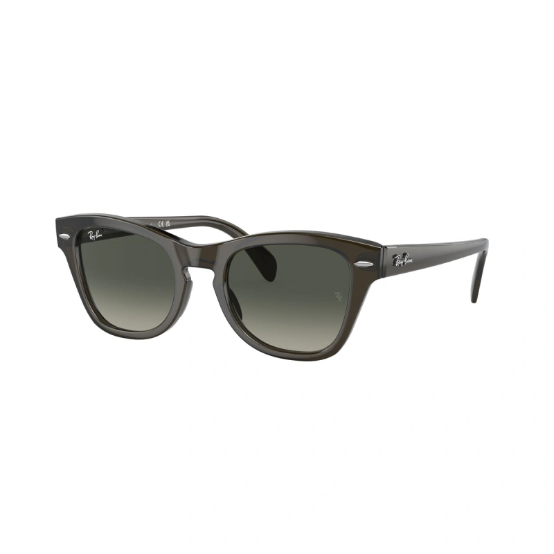 RAY BAN Sunčane naočare 0RB0707S 664271 53