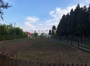Prodaja Plac - Beograd, Surčin Centar